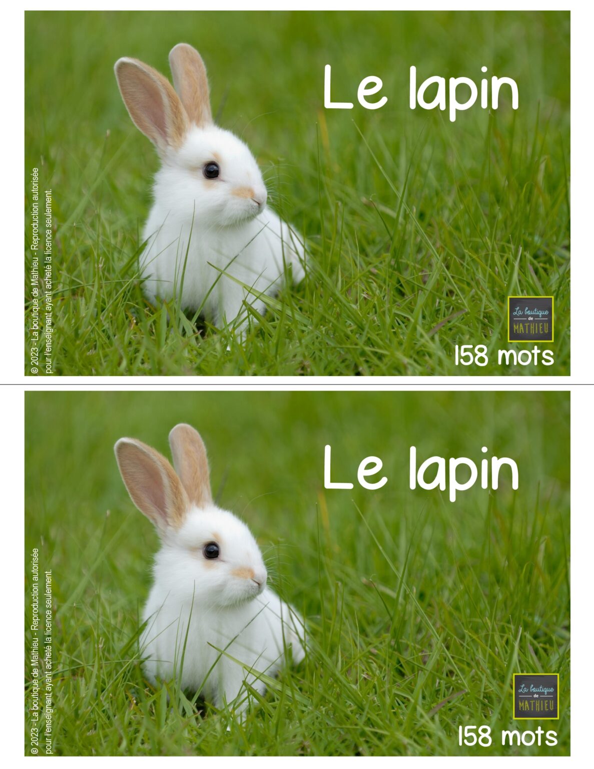 Compréhension de lecture – Le lapin – 1re année