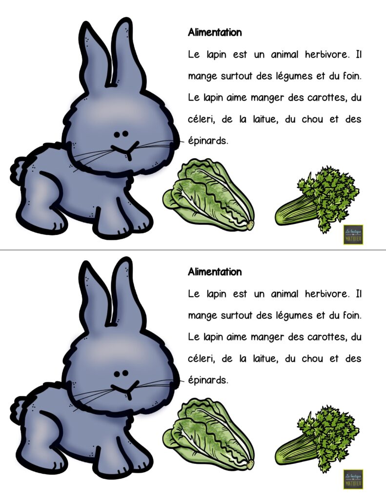 Compréhension de lecture – Le lapin – 1re année